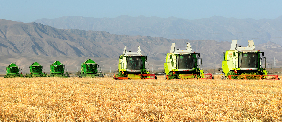 Working trip of the National Leader of the Turkmen people, Chairman of ...